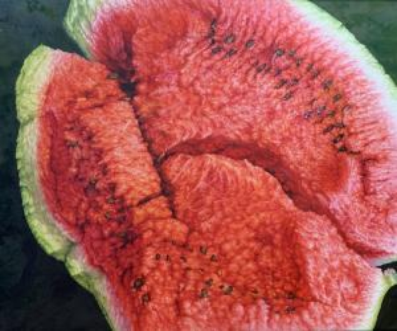 Çelet ekspozita “PranverArt”, veprat e 81 artistëve ekspozohen për herë ... Çelet ekspozita “PranverArt”, veprat e 81 artistëve ekspozohen për herë ...